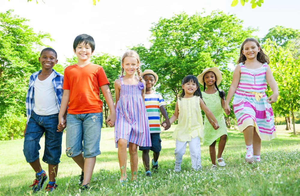 Home - grapevine.shop